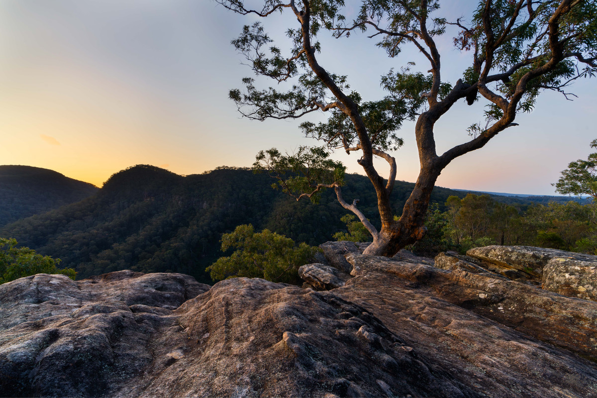 DSC00827 Edit — Postimages