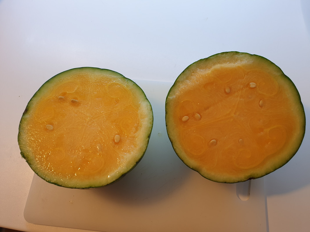 20220713 123139 — Postimages