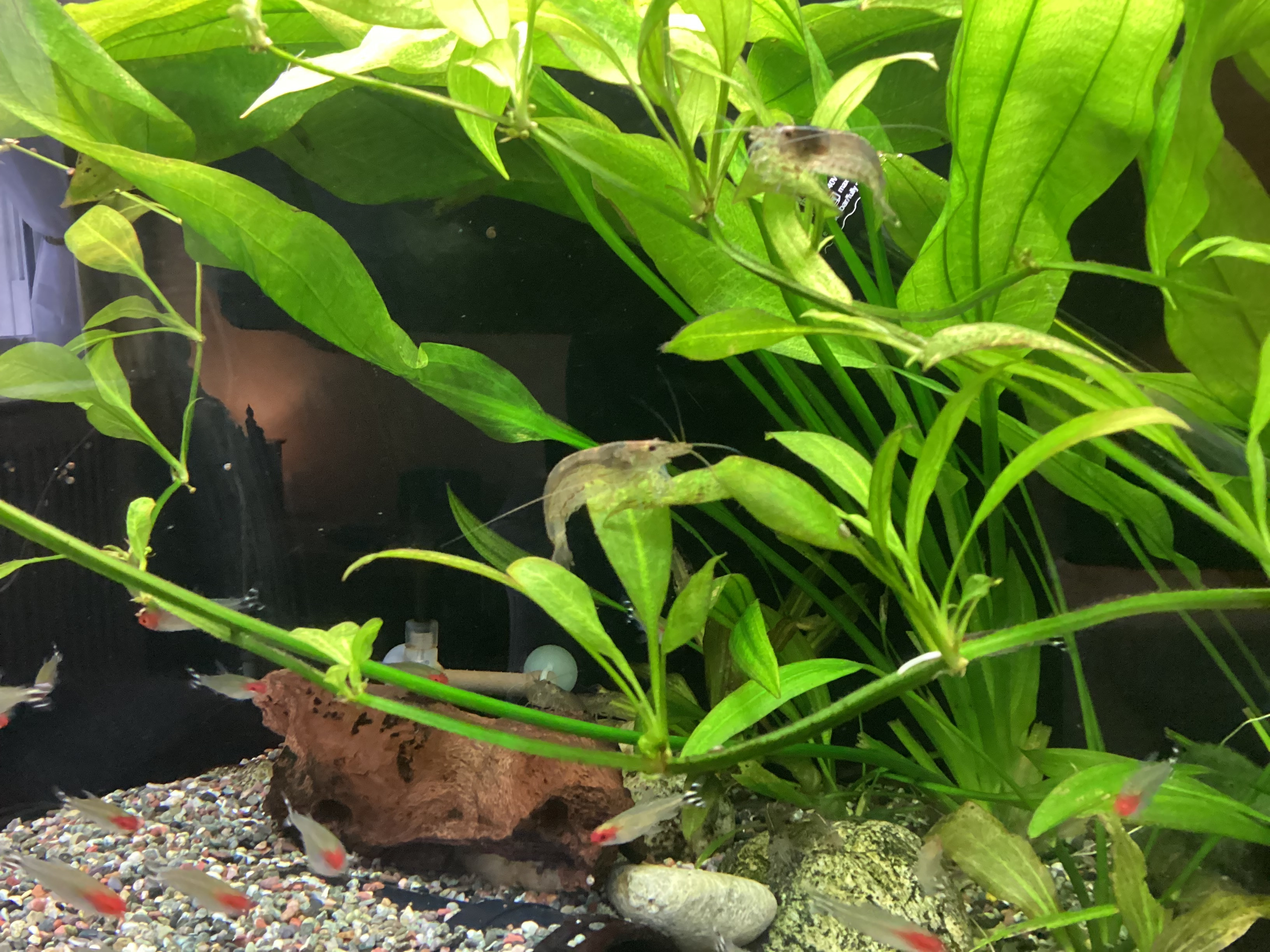 IMG 0136 — Postimages