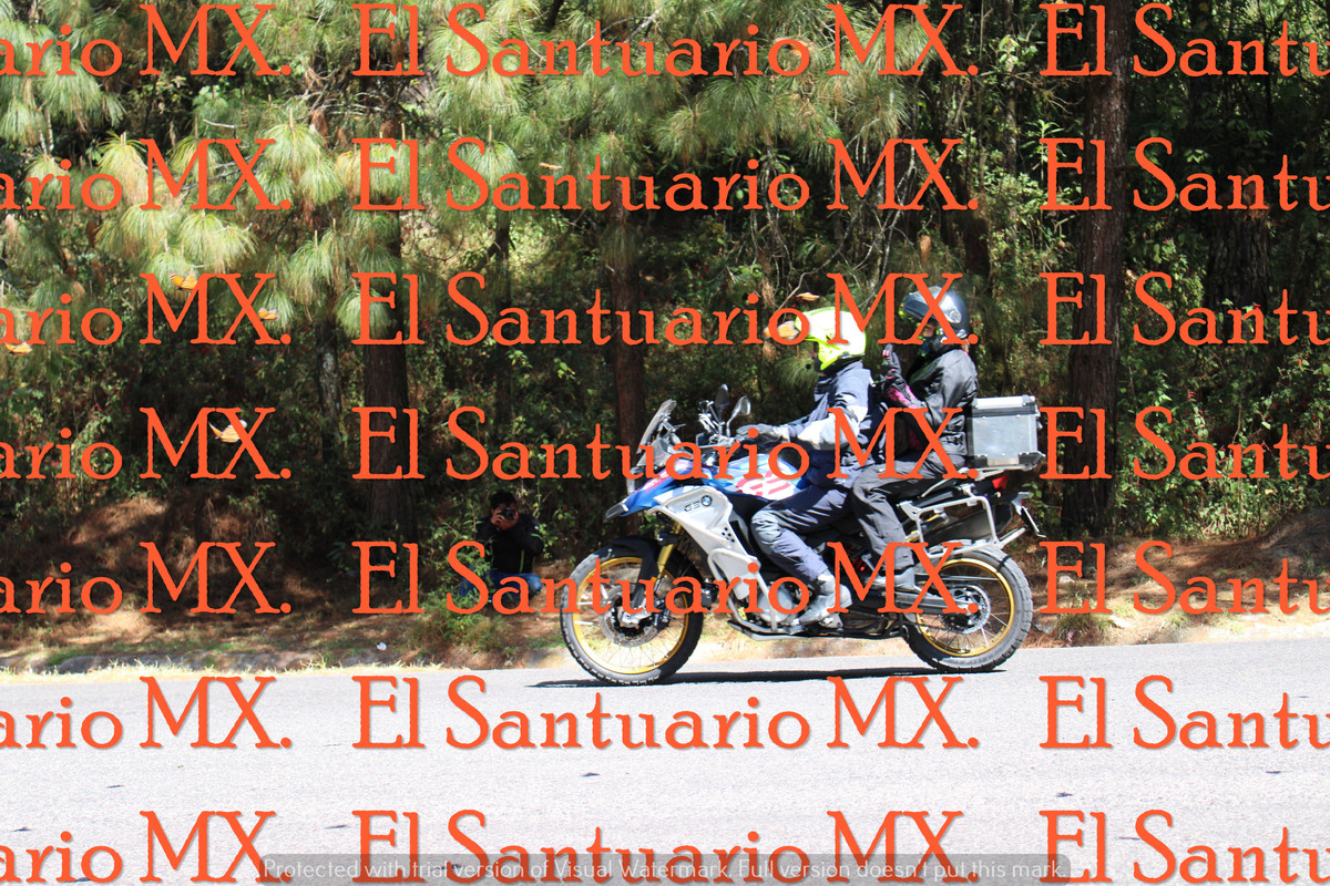 IMG 2539 — Postimages