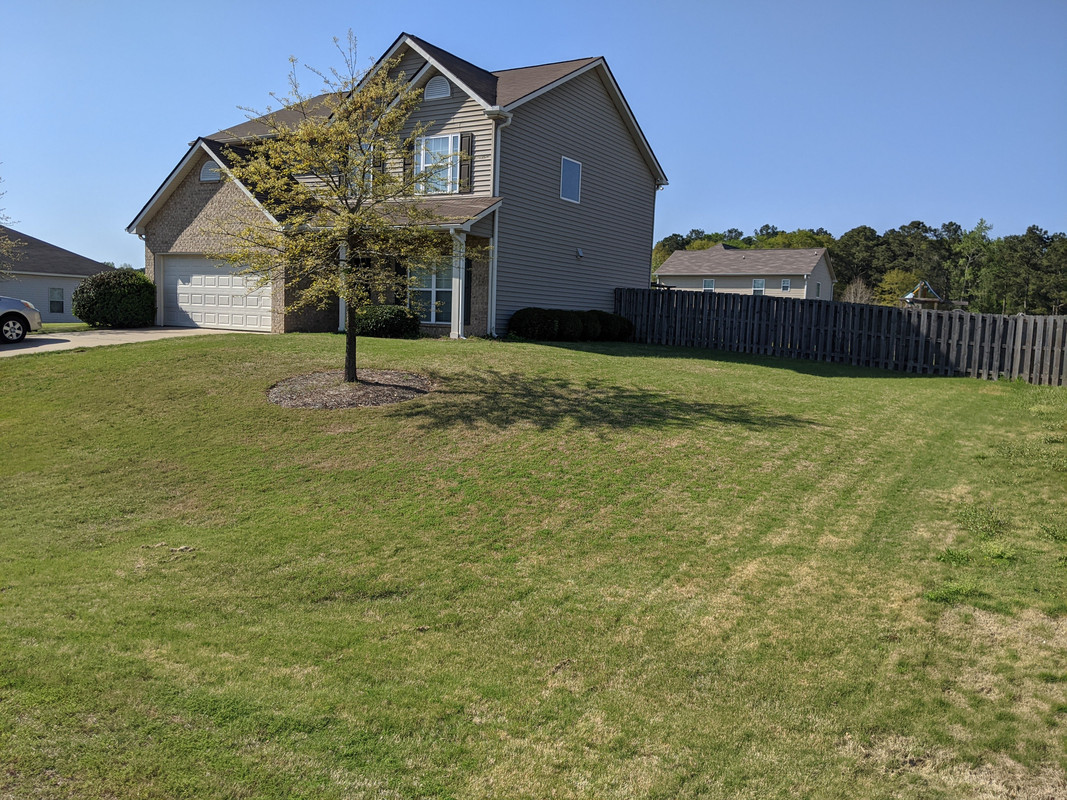 2021 04 05 front lawn 2 — Postimages