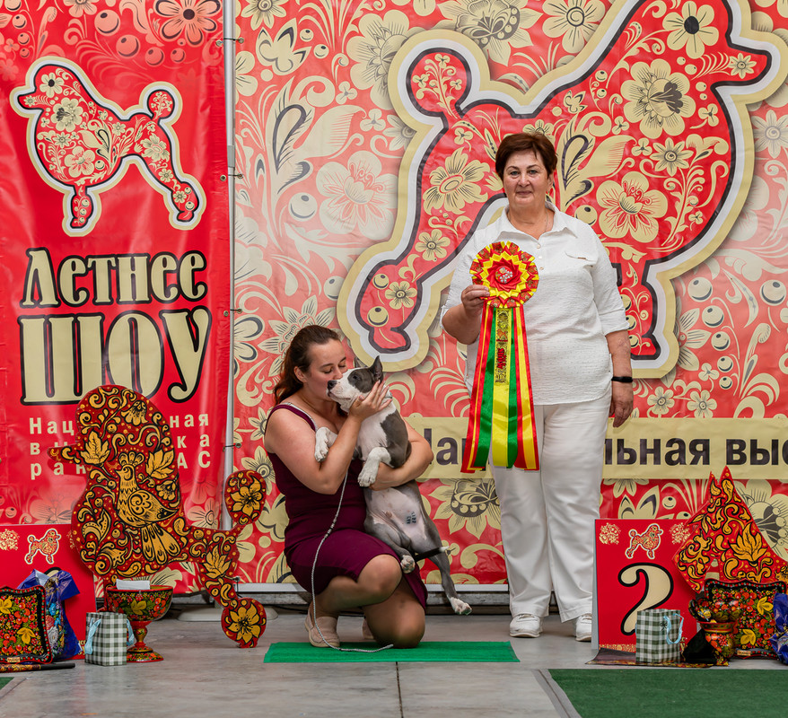 310 CR2 — Postimages