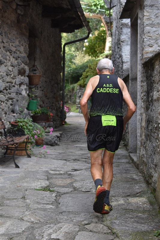 DSC 0519 — Postimages