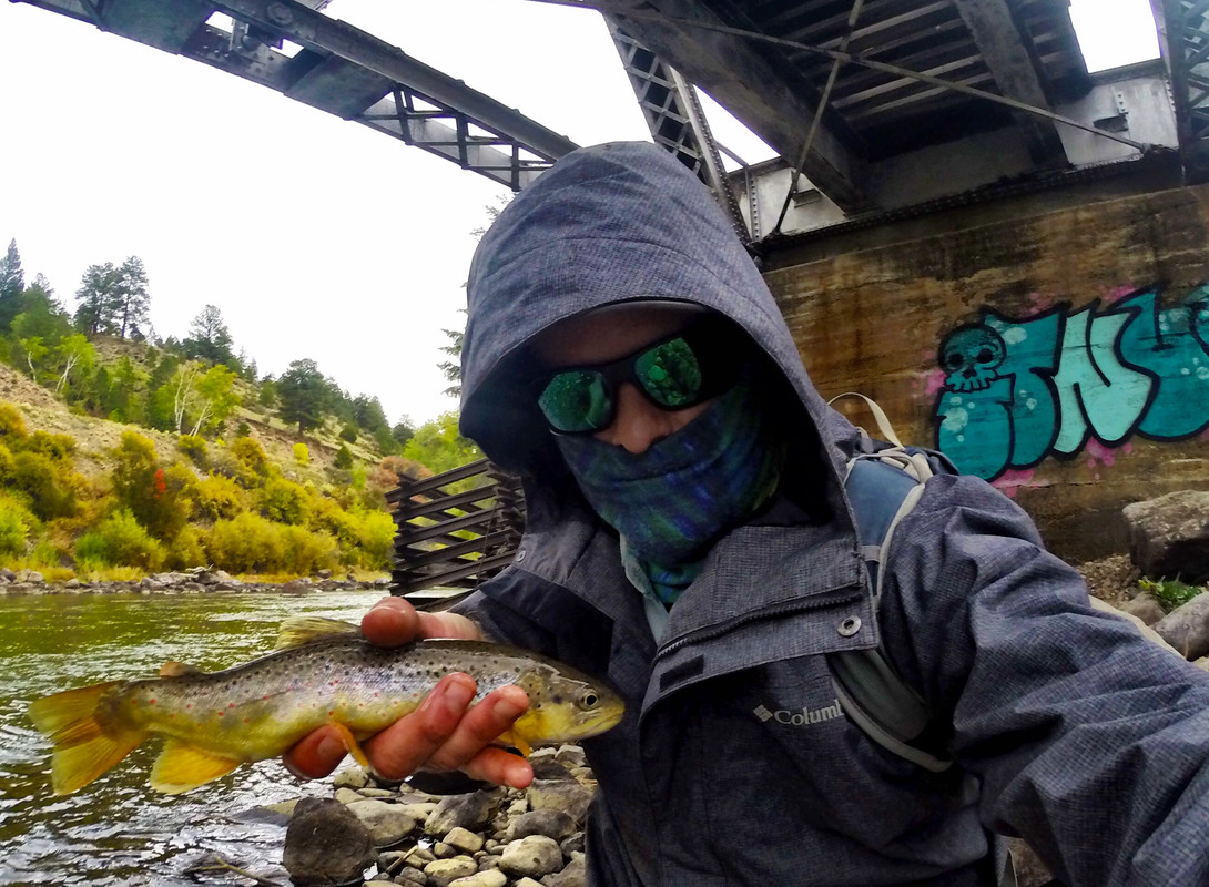 596 C7136 40 DD 478 A B924 447 DB8 F059 B8 — Postimages