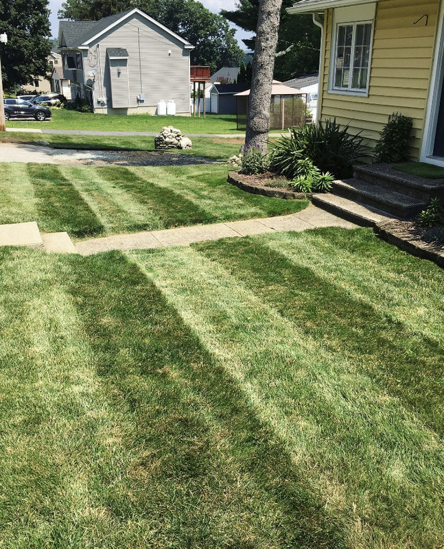 3 Different Lawns | Lawn Care Forum