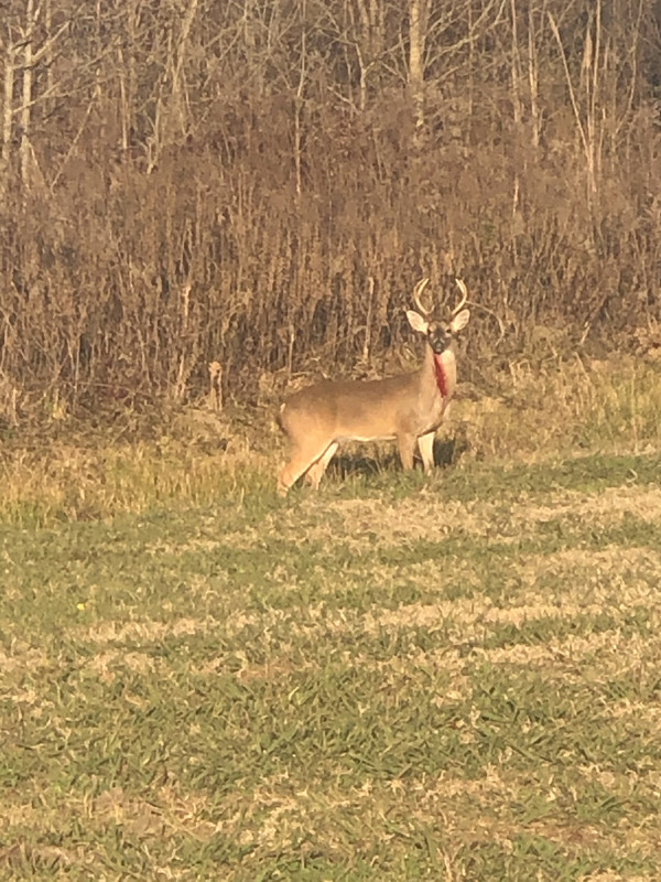 8 F4483 C7 0 E21 43 FA 835 C 98 D9573443 AA — Postimages