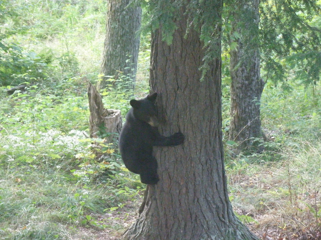 various 026 — Postimages