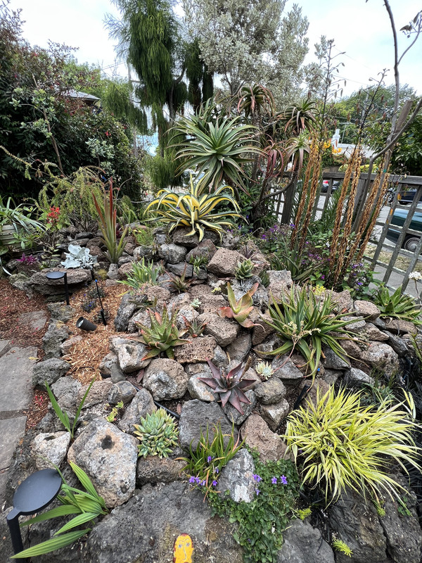 IMG 4523 — Postimages