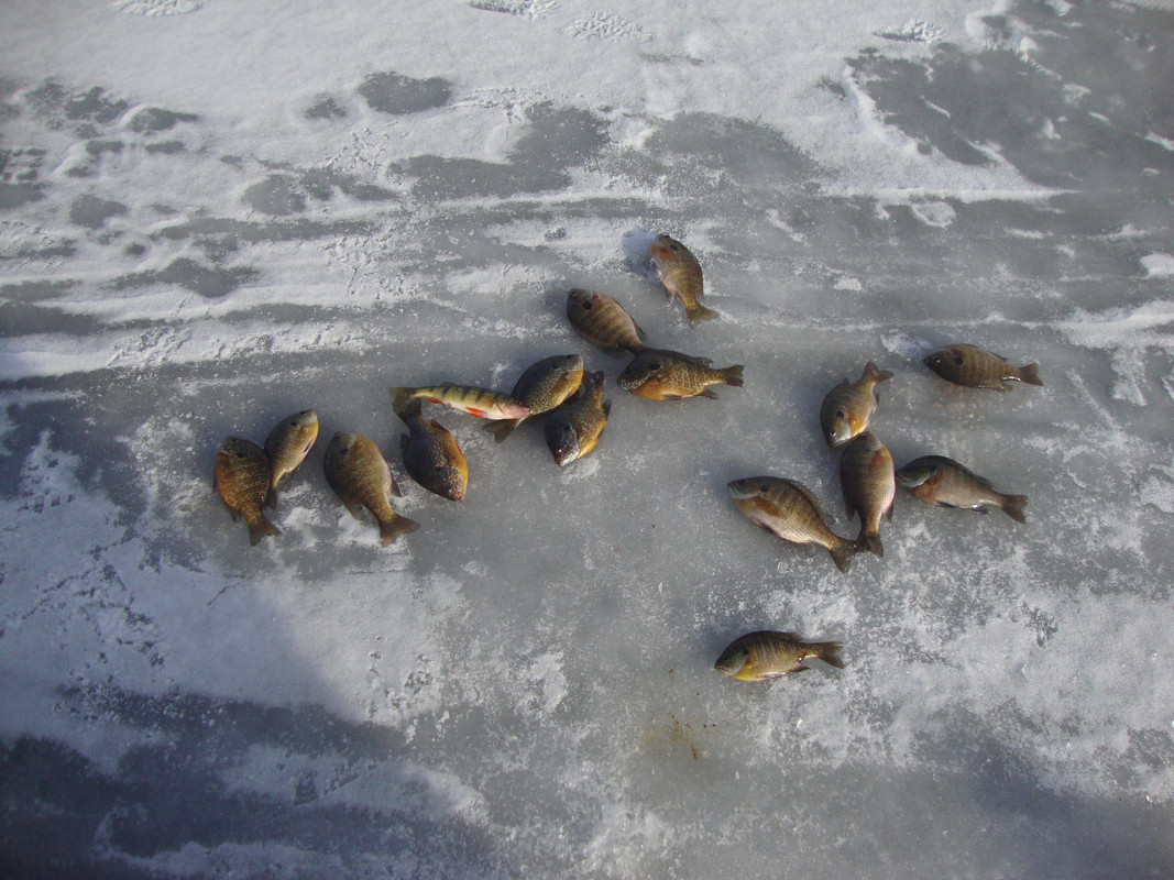 FISHING 25 001 — Postimages