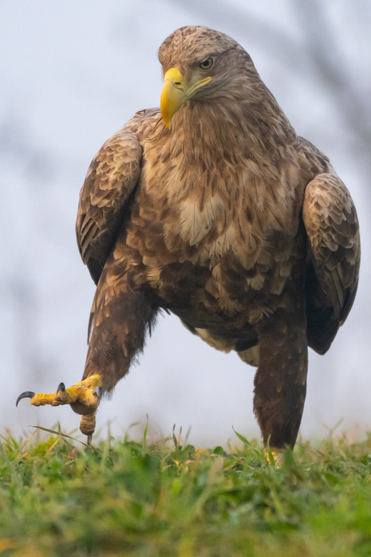 DSC 1503 2 — Postimages