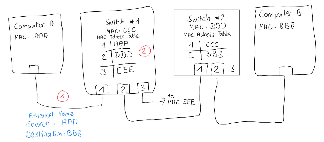 switch - How do switches route ethernet packets - when there are two switches in series between ...