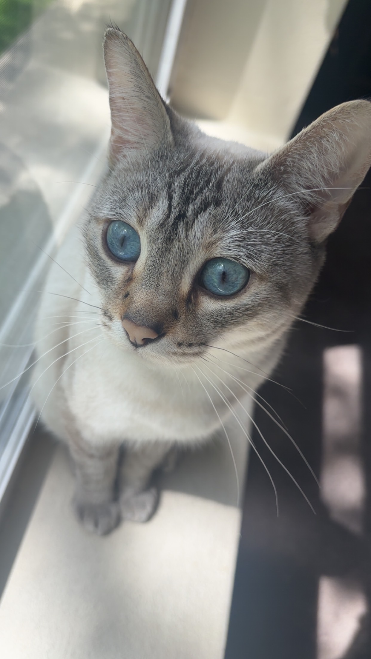 IMG 3809 — Postimages