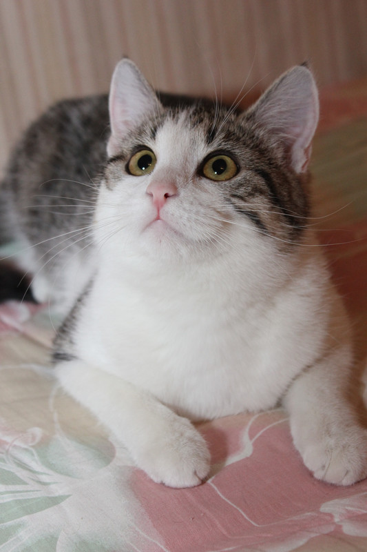 IMG 9119 — Postimages