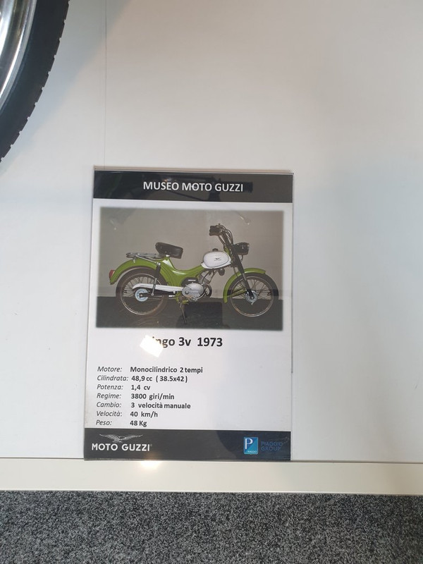 DINGO 3 V 1973 0 — Postimages