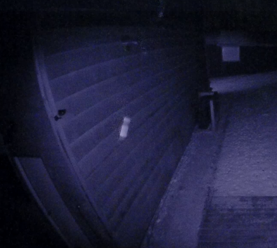 Oy! Spiderweb on camera causing non-stop alerts! : r/Ring