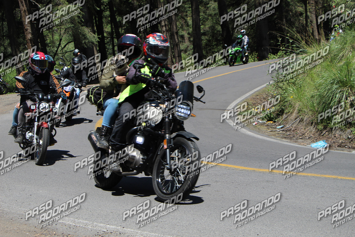 IMG 8220 wm 24494230 9 watermarked — Postimages