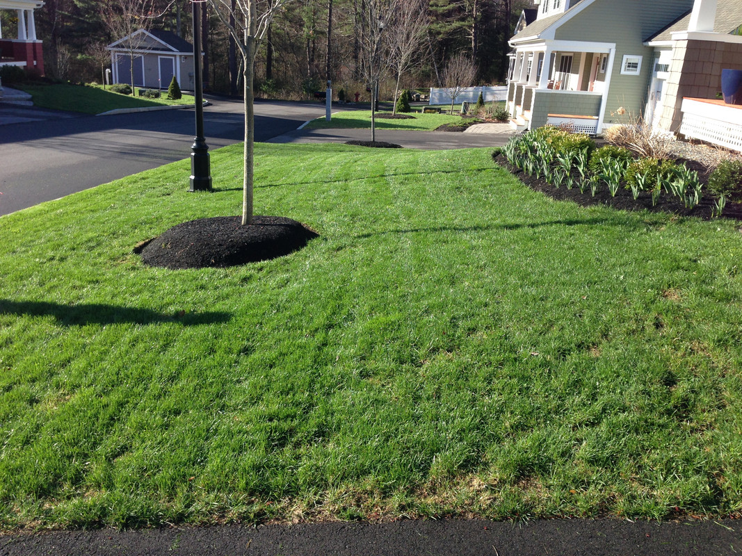 front2 — Postimages