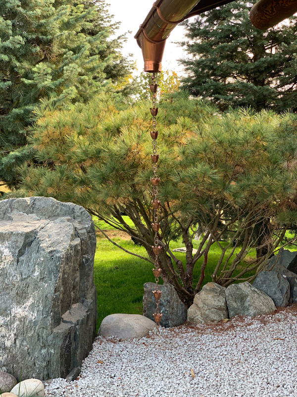 IMG 20231023 WA0101 — Postimages