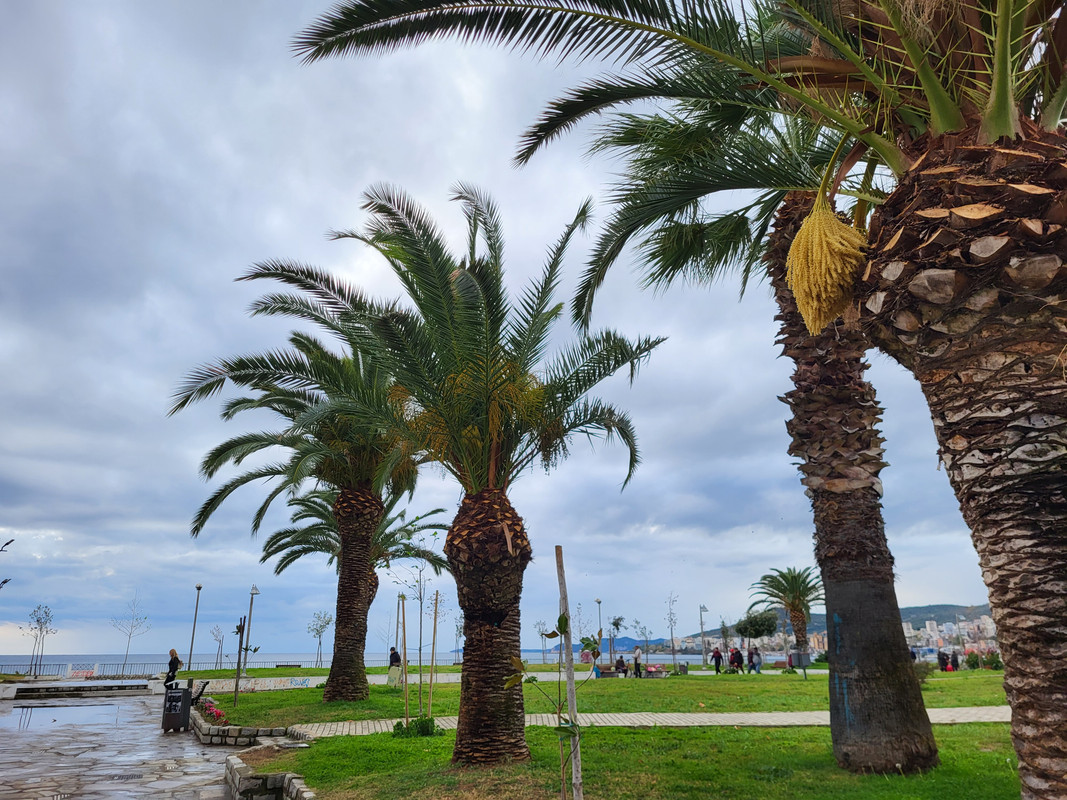 20221112 105258 — Postimages