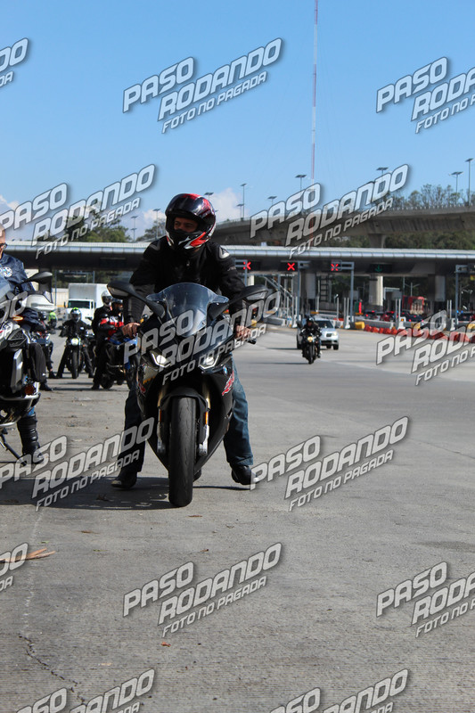 Album — Postimages