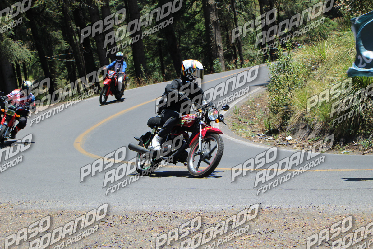 IMG 3994 wm 200696 7000000002 watermarked — Postimages