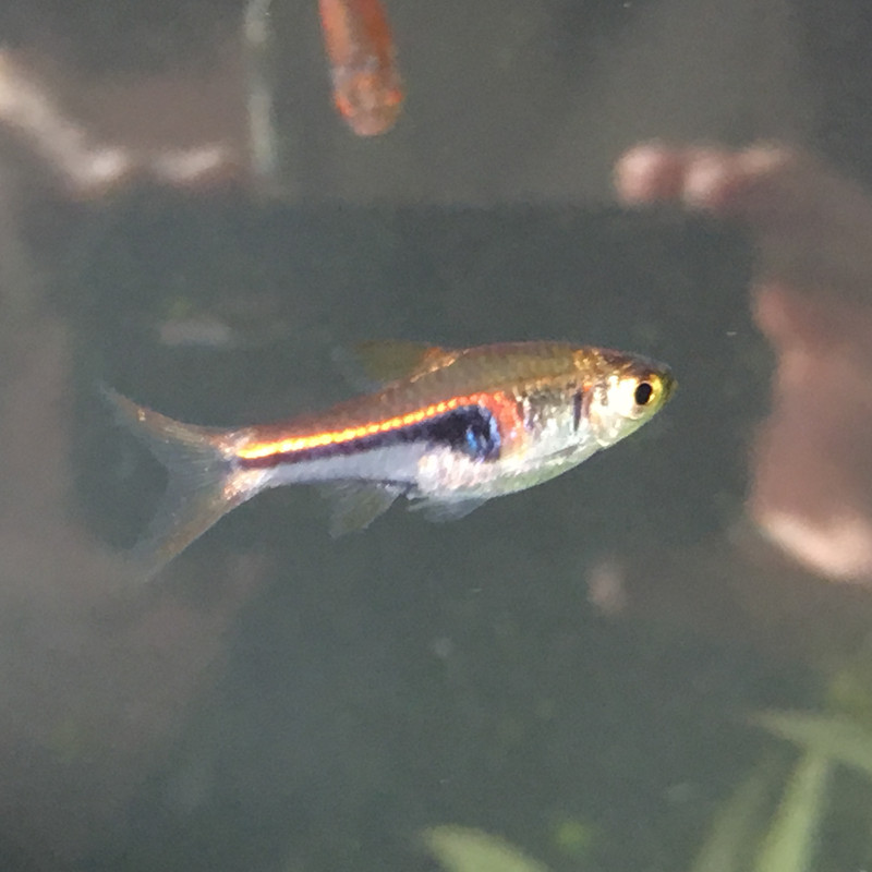 249 DB206 A5 F2 4 B83 8916 71 C237 FB99 AE — Postimages