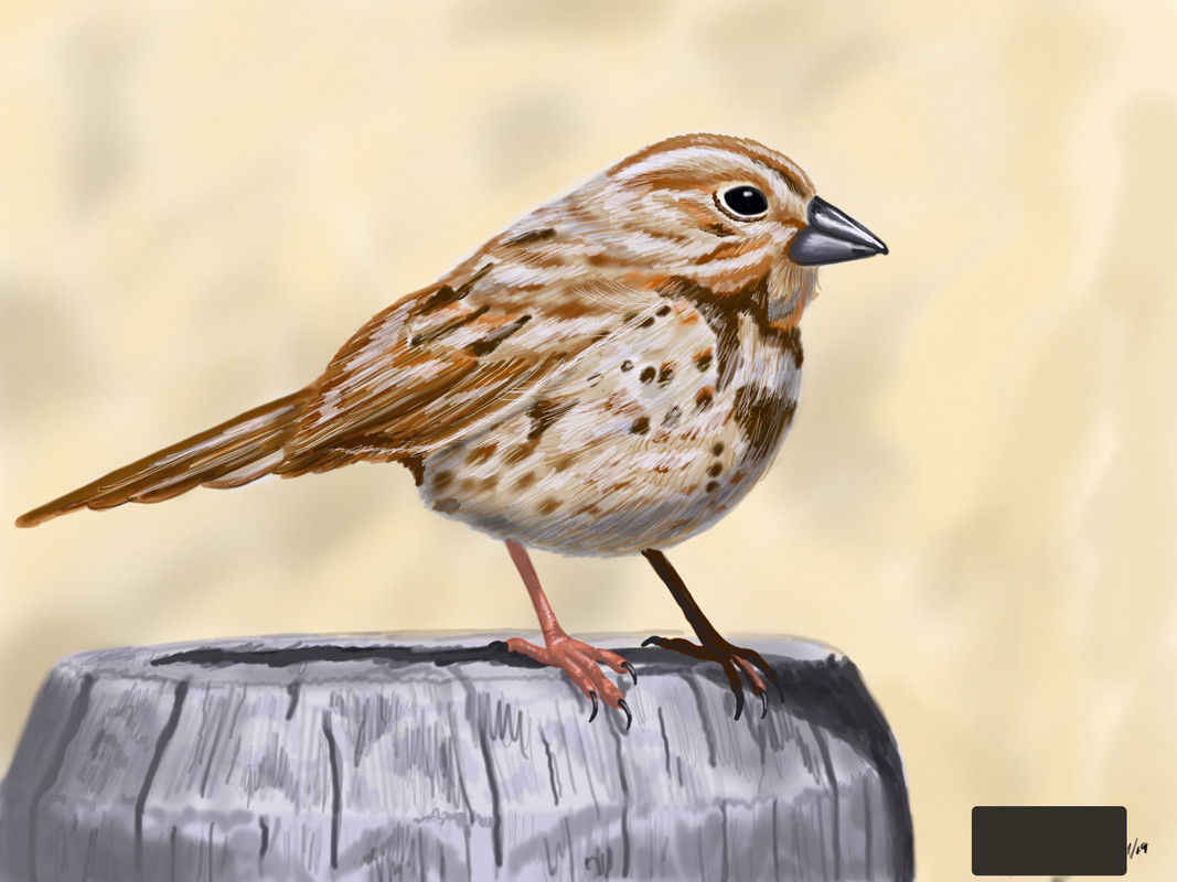 Untitled Artwork 1 — Postimages