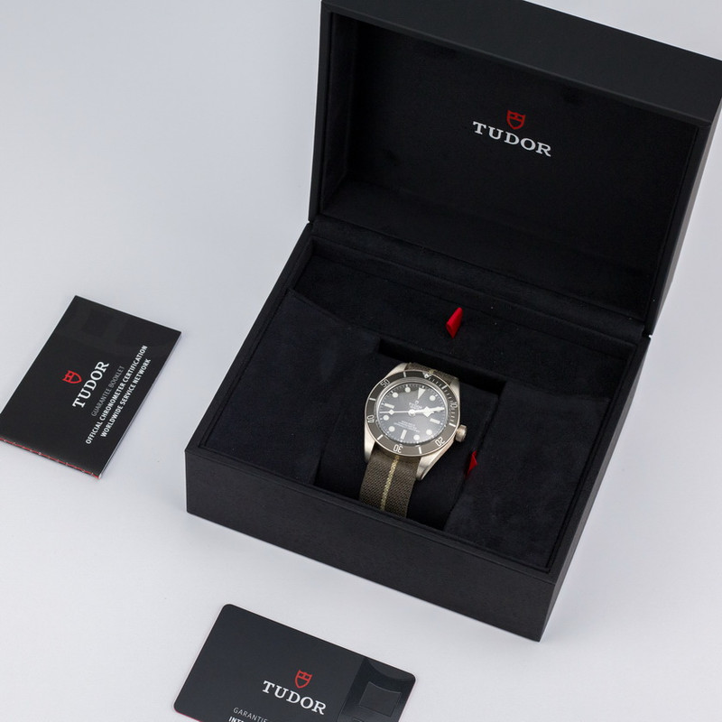 Tudor Black Bay 58 Silver ref 79010 SG 3 — Postimages