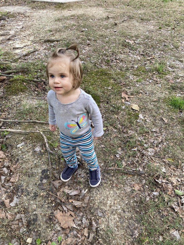 xz2scj766nq81 new — Postimages