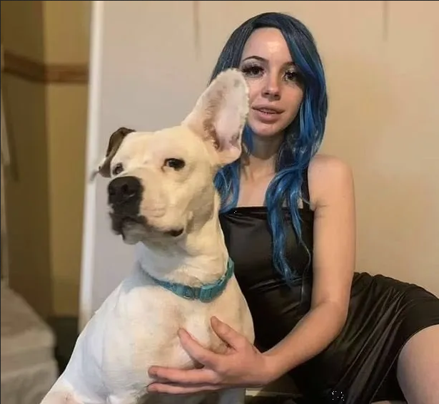 Joven De 19 Años Tiene Sexo Con Un Perro Y Lo Graba En Video Imperio Noticias