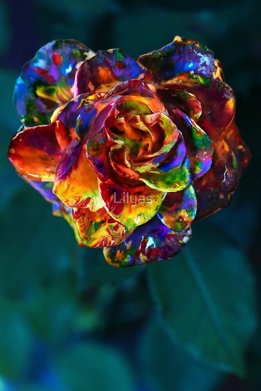 Neferkarmichael's Recovery Rose Page Pt 6 - Page 16 - SoberRecovery ...