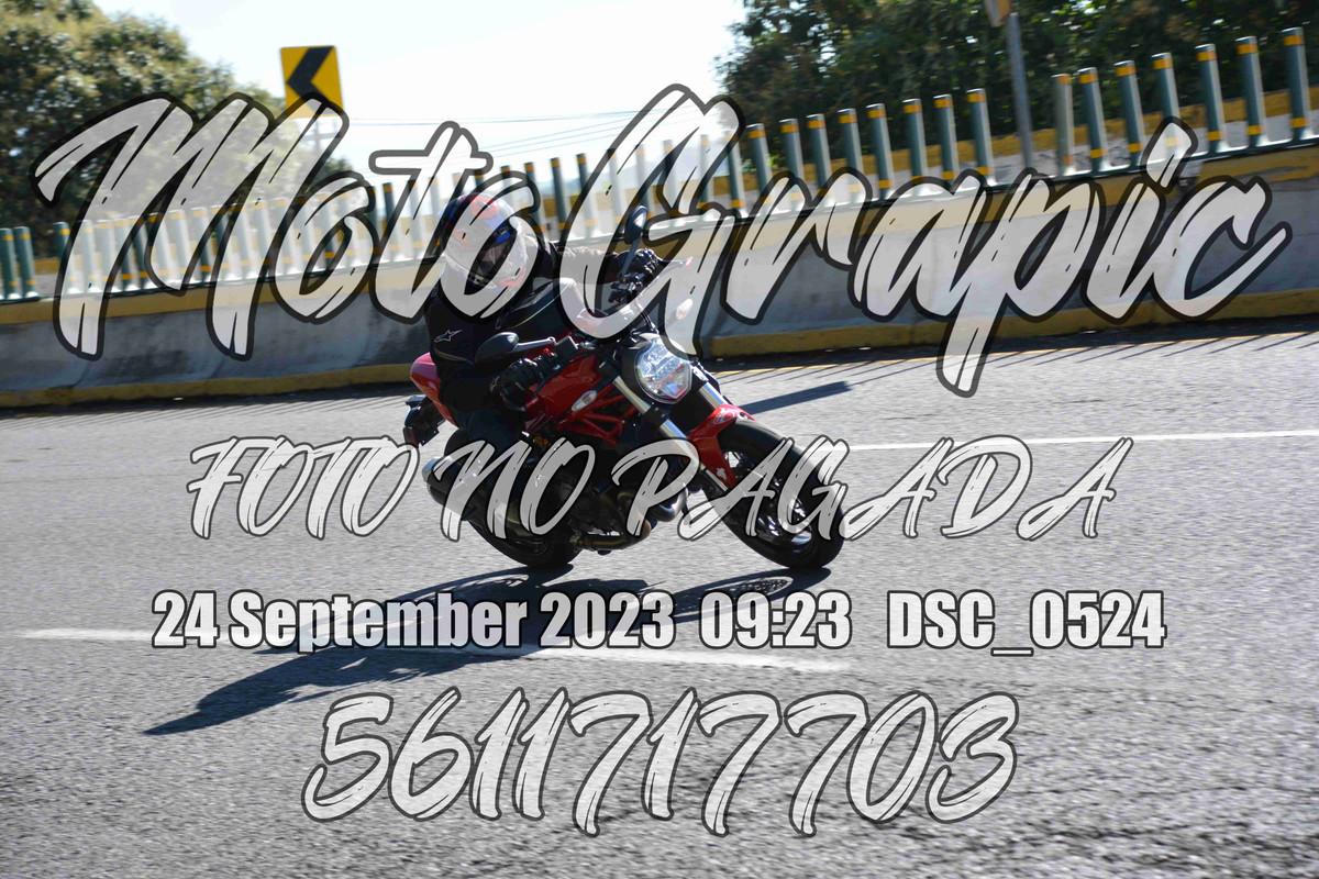 motgr DSC 0524 — Postimages