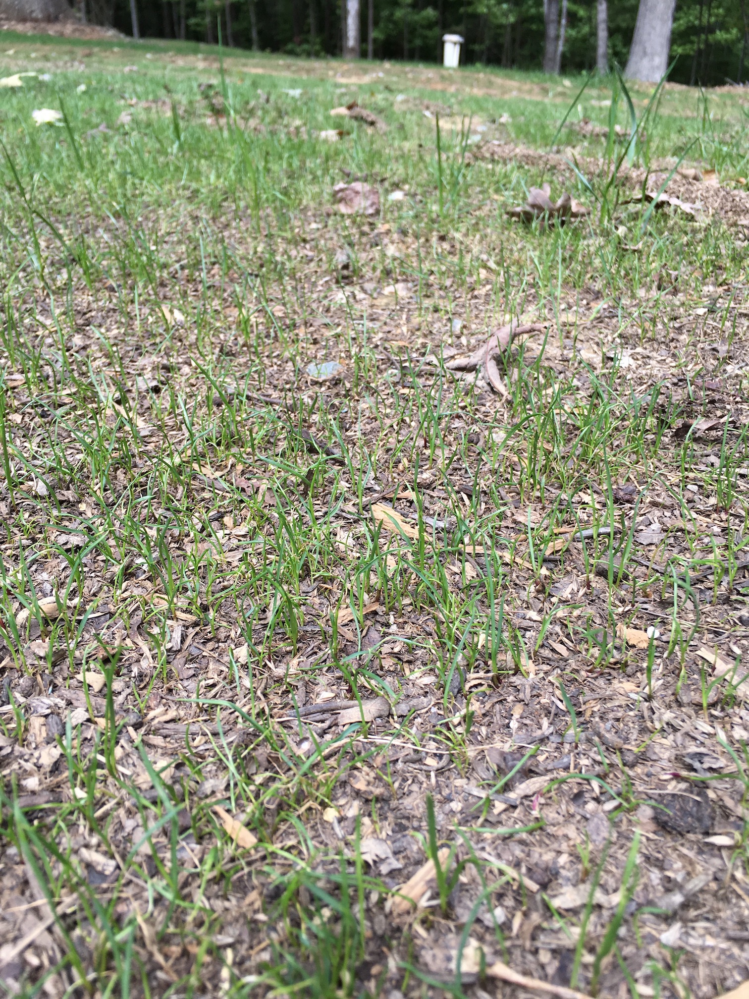 IMG 2102 — Postimages