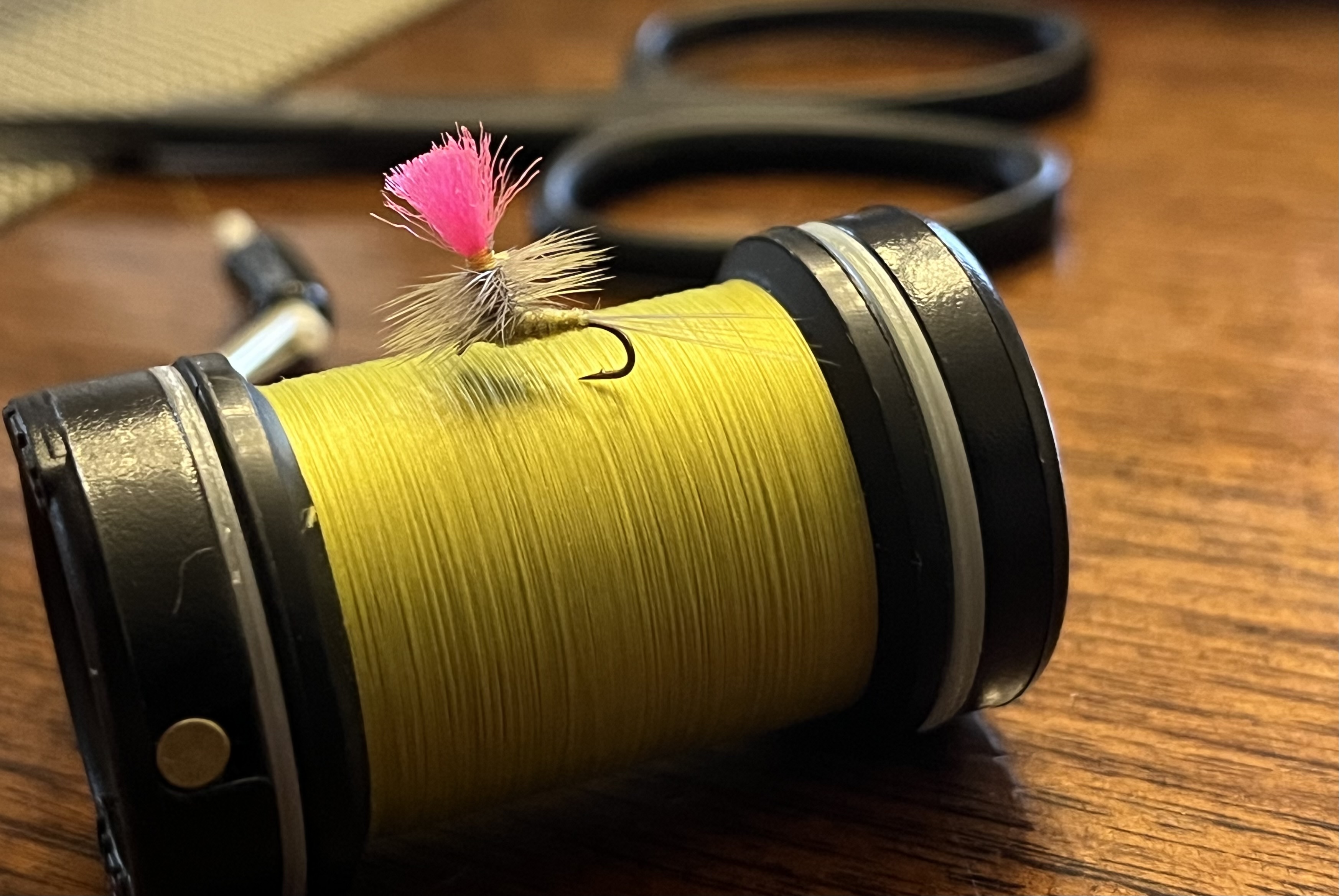 IMG 3186 — Postimages