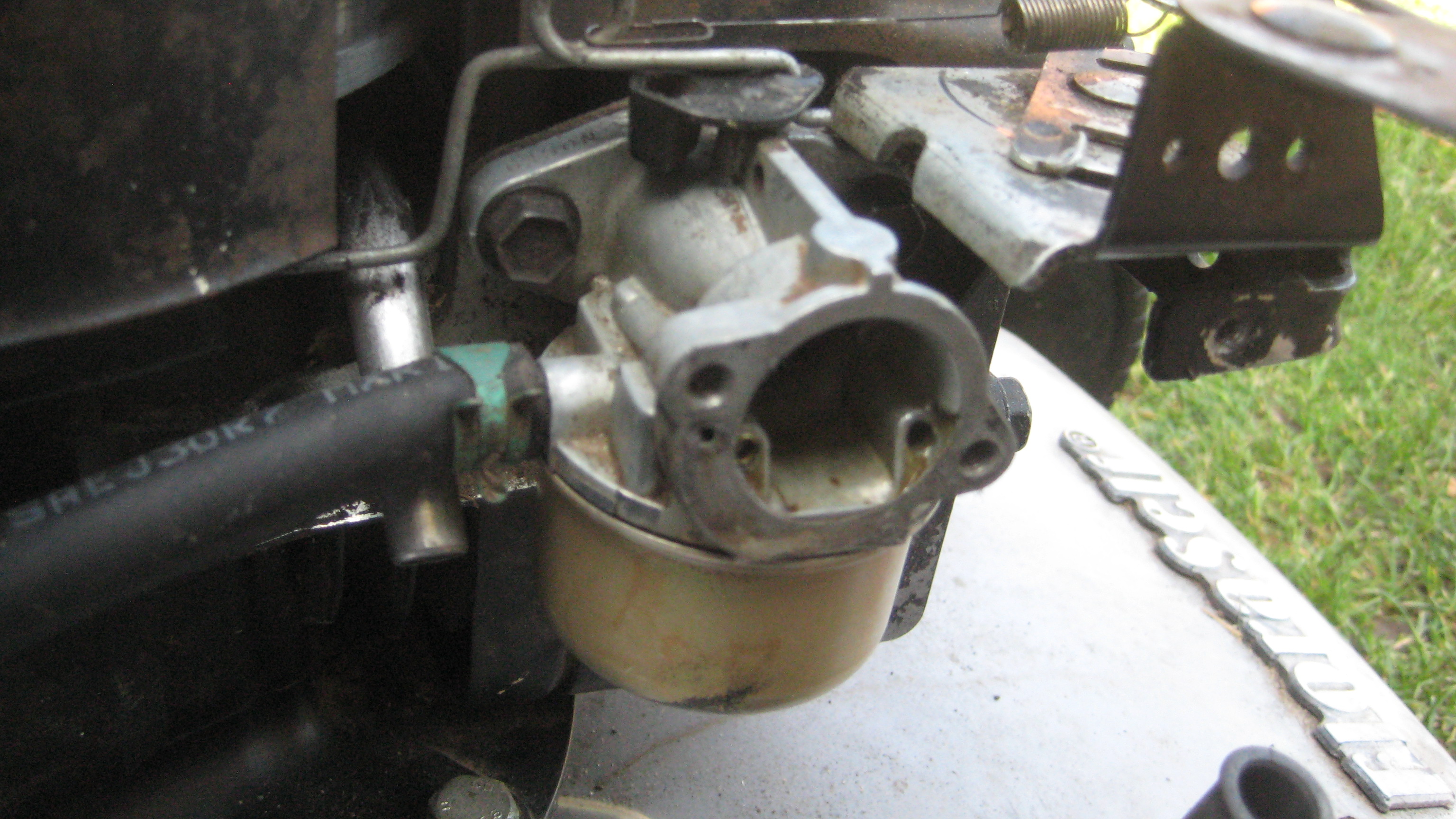 IMG 3261 — Postimages