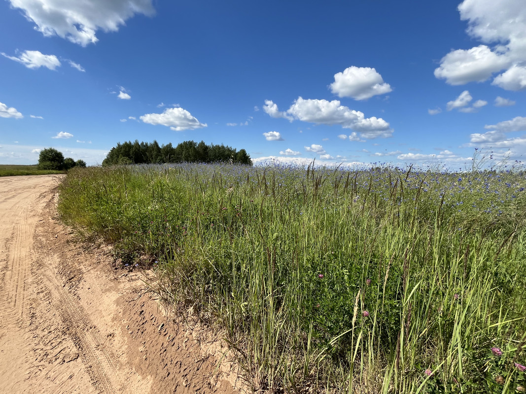 IMG 2185 — Postimages