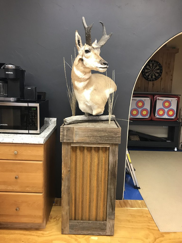 6594 D621 E394 49 F2 8672 636 CE649389 E — Postimages