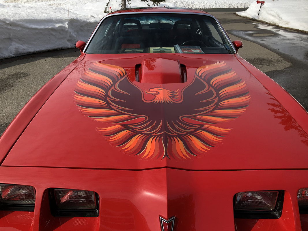 IMG 0876 — Postimages