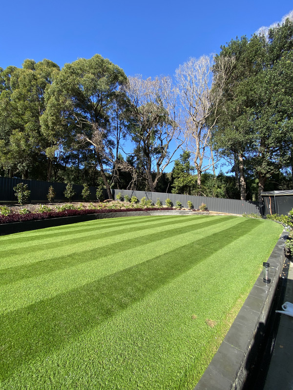 PRG lawn in Australia | Lawn Care Forum