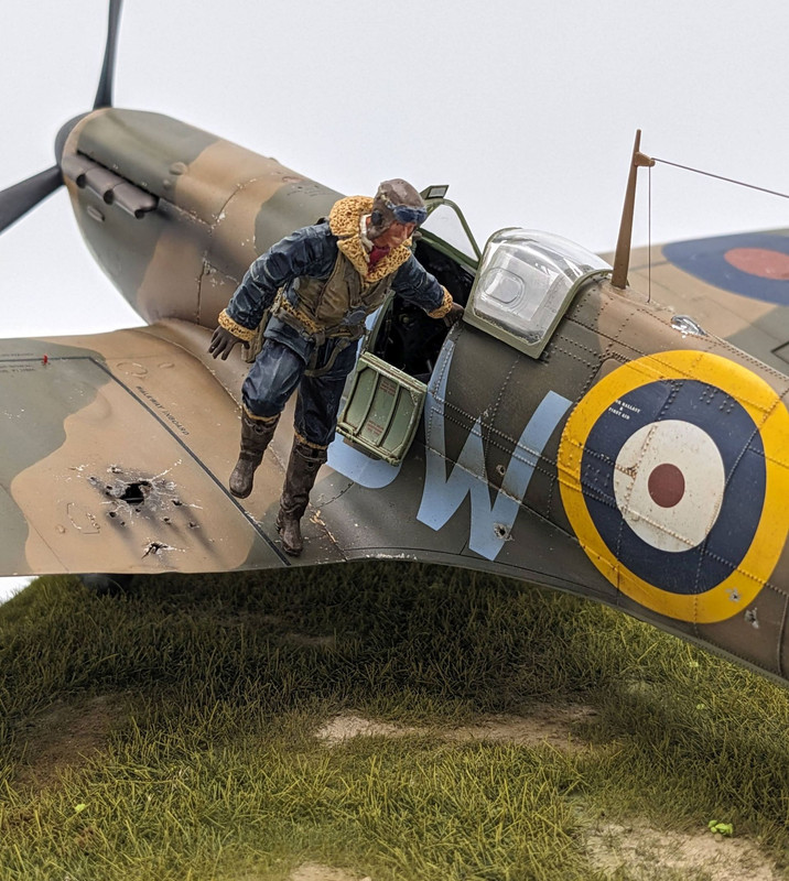 "Bit of a rough go today, eh, chap?" - Ready for Inspection - Large ...