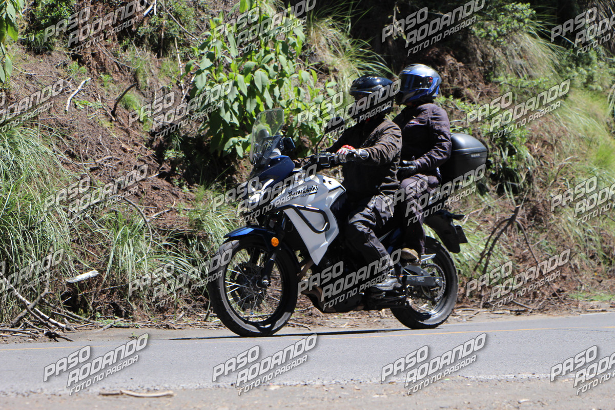 IMG 5281 wm 15672707 3 watermarked — Postimages