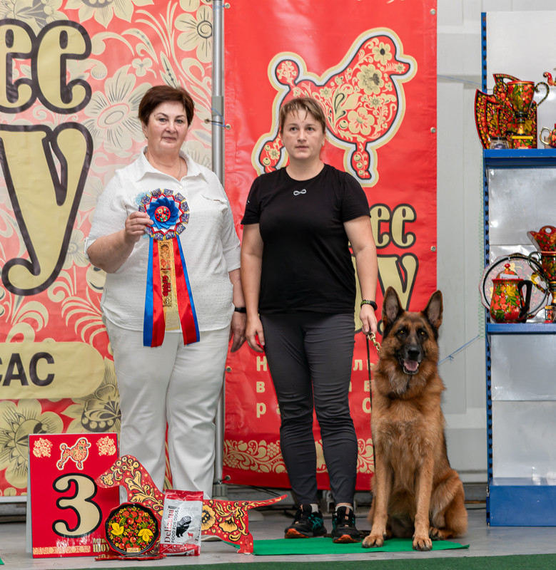 355 CR2 — Postimages