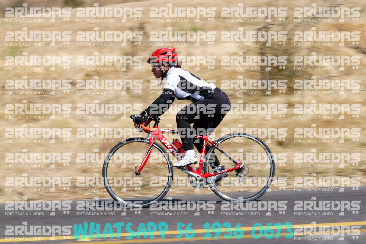 MG 0316 — Postimages