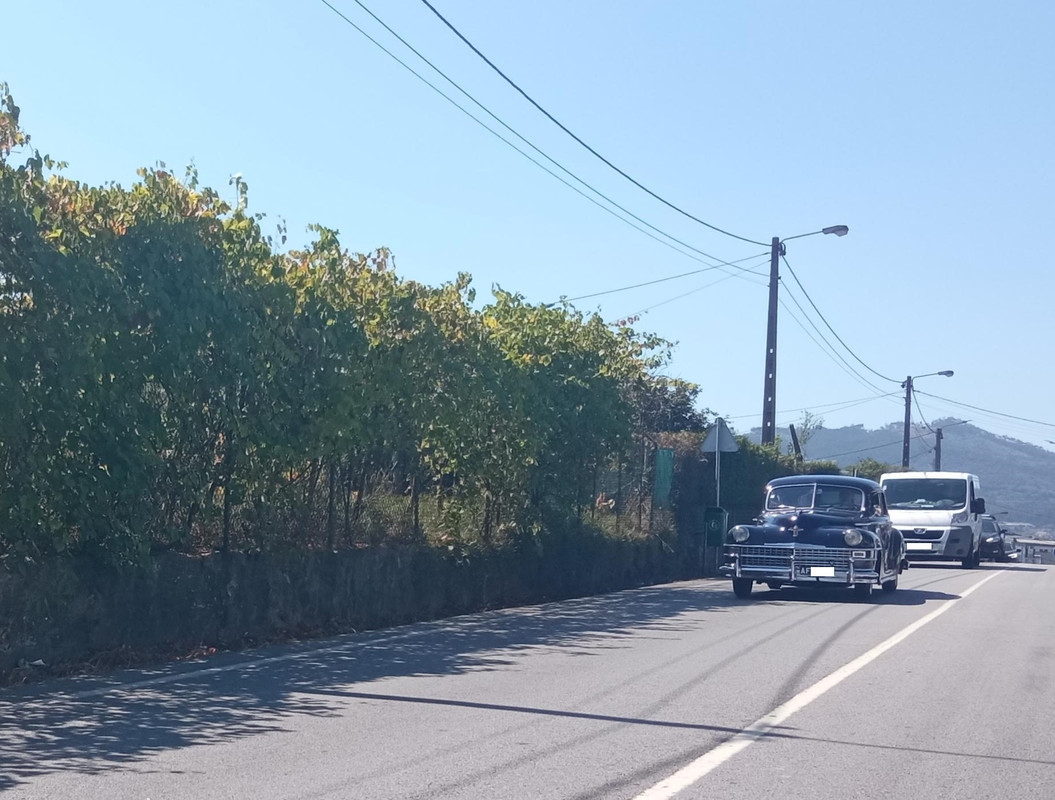 IMG 20220812 154315 — Postimages