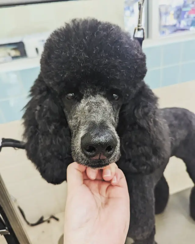 IMG 20230922 121157 143 — Postimages