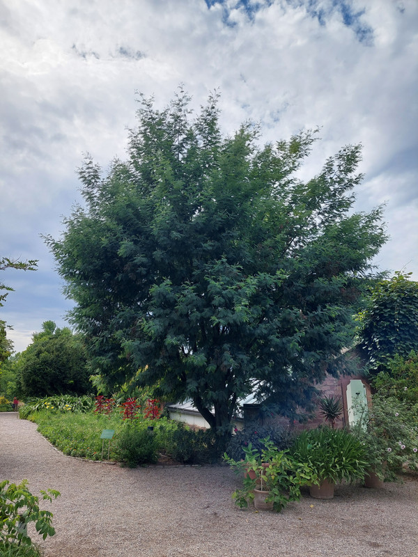 20220626 161737 — Postimages