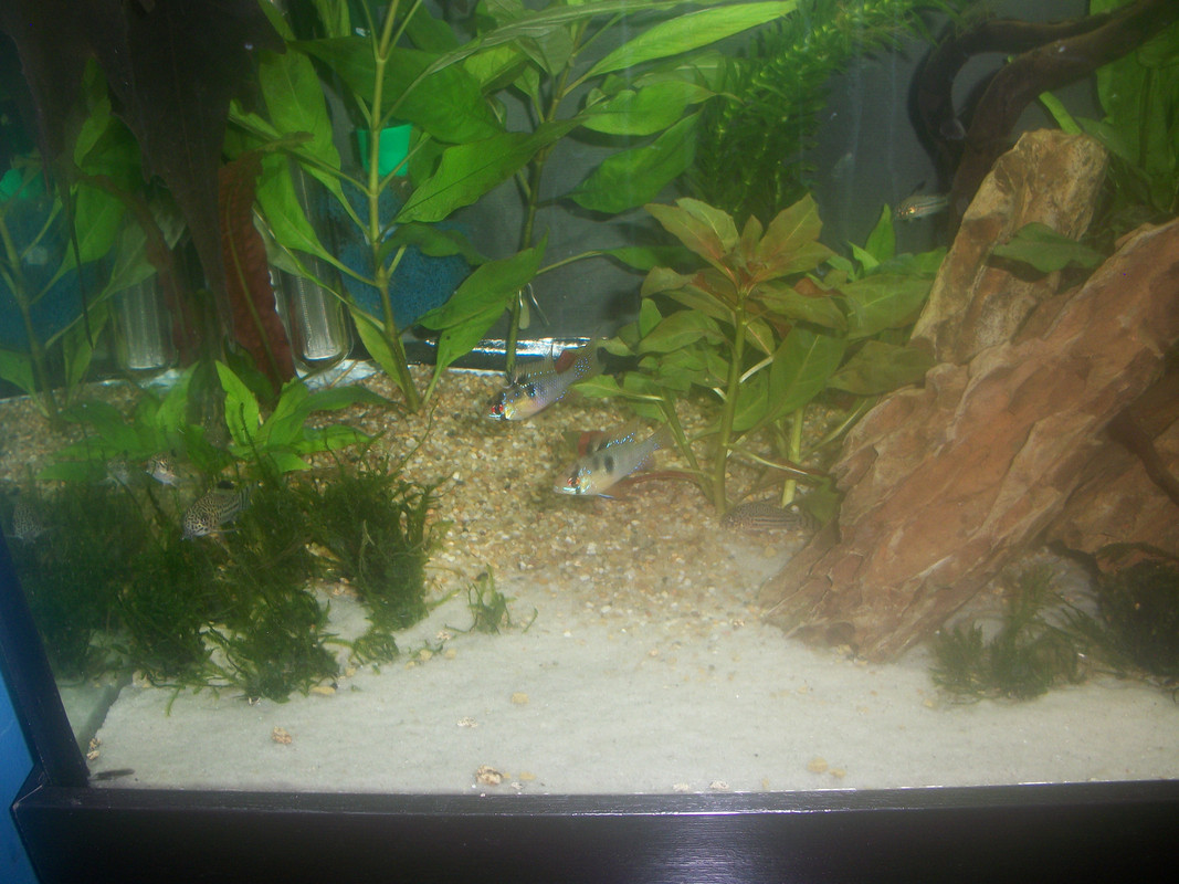 100 2369 — Postimages