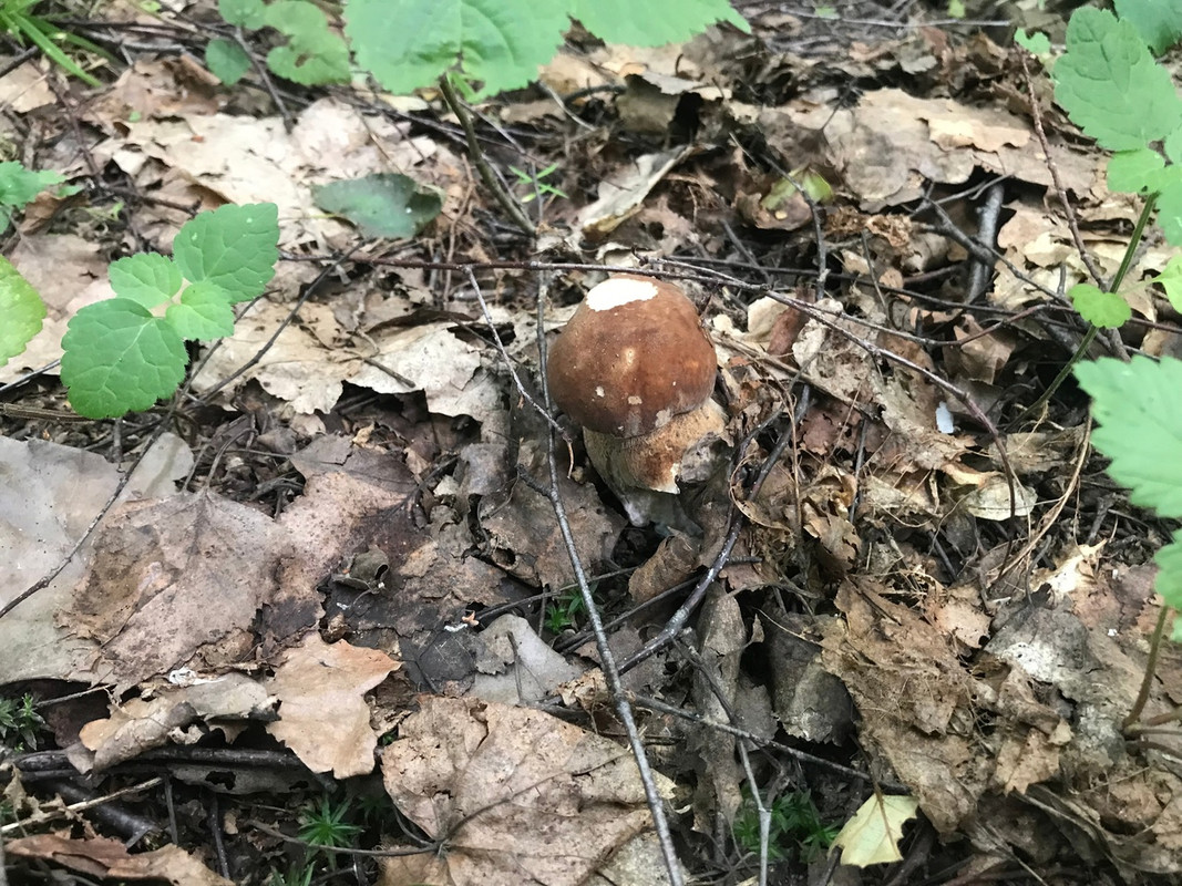 U d UITqsd Lw — Postimages