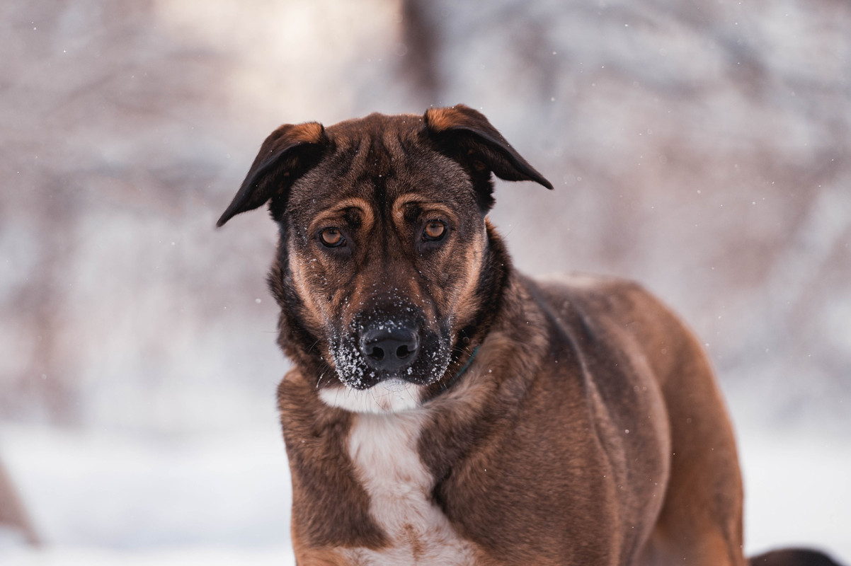 DSC 0647 Edit — Postimages