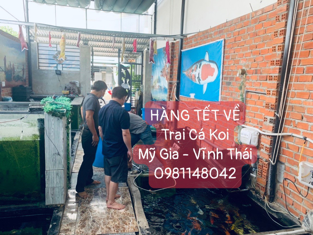 2091 CB68 F6 D3 43 DE B4 F4 B6 D53 B670 BB5 — Postimages